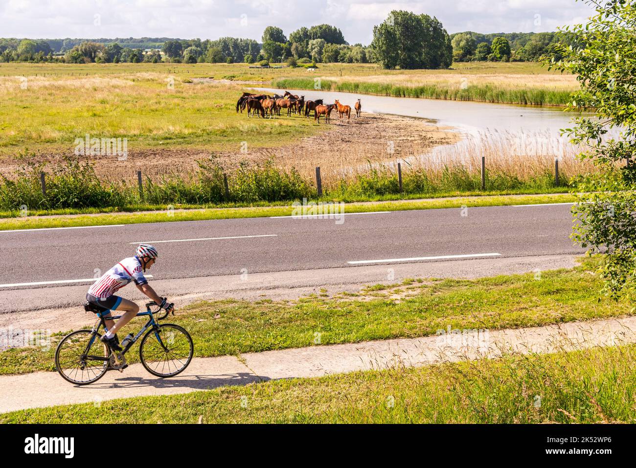 France, Somme (80), Baie de Somme, Saint-Valery-sur-Somme, Cycle track ...