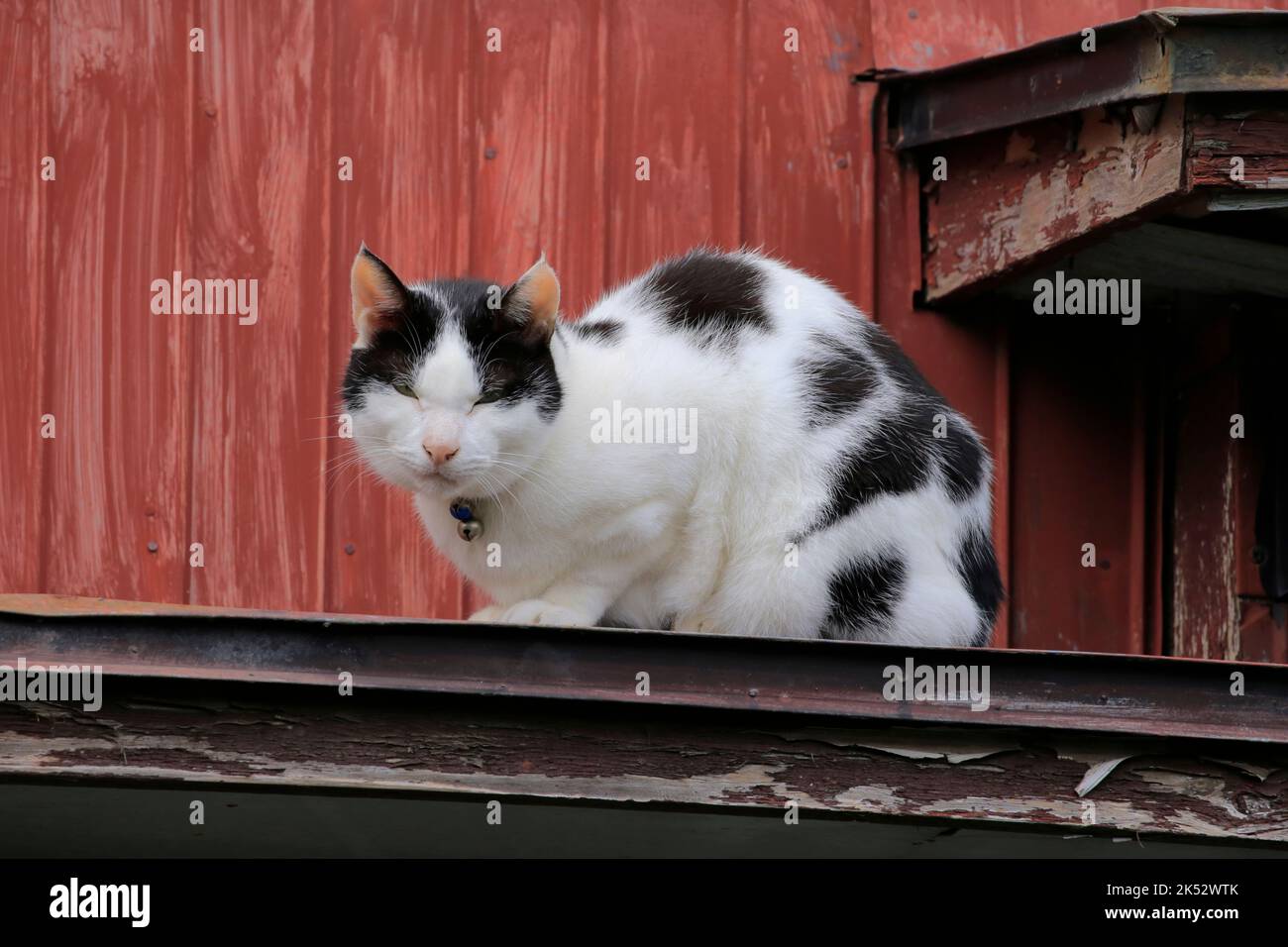 Sawara katori hi-res stock photography and images - Alamy