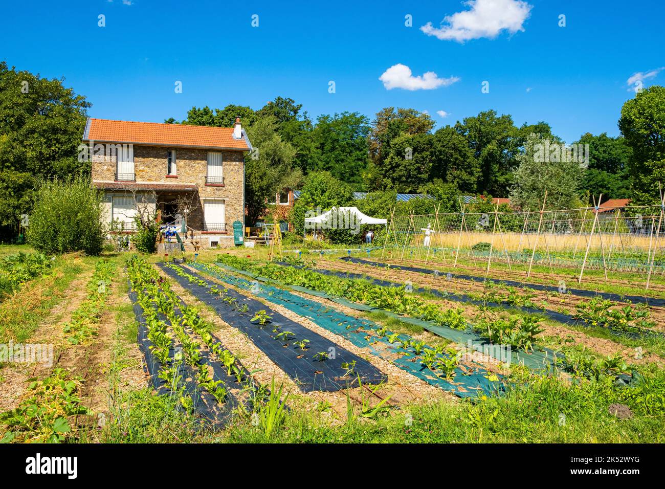 Paris bois de vincennes farm hi-res stock photography and images - Alamy