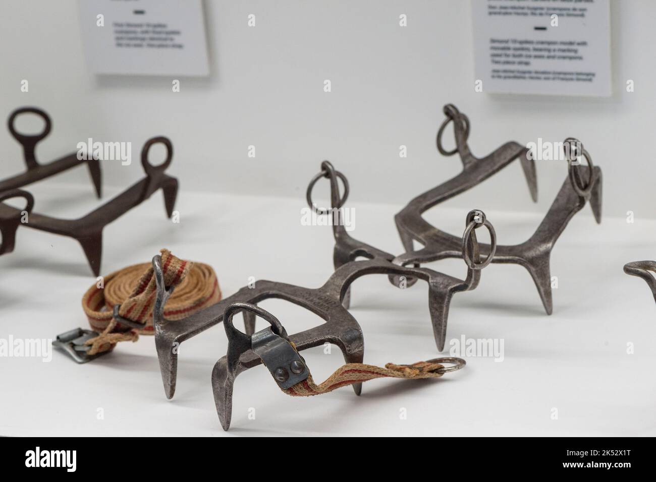 France, Haute Savoie, Mont Blanc massif, Chamonix, Simond in its new ...