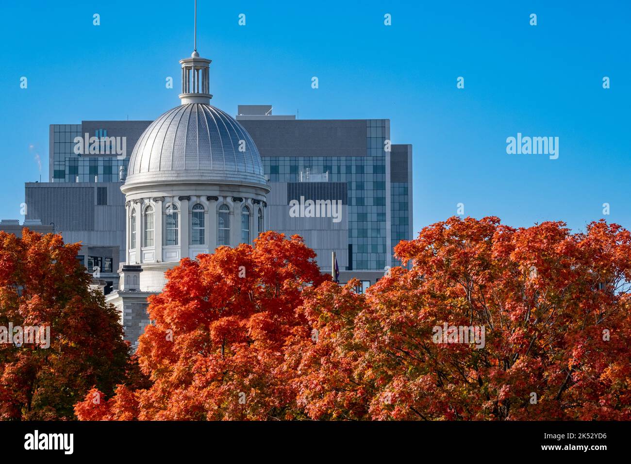 Montreal, CA - 4 October 2022: Red maple trees and Bonsecours Market in ...