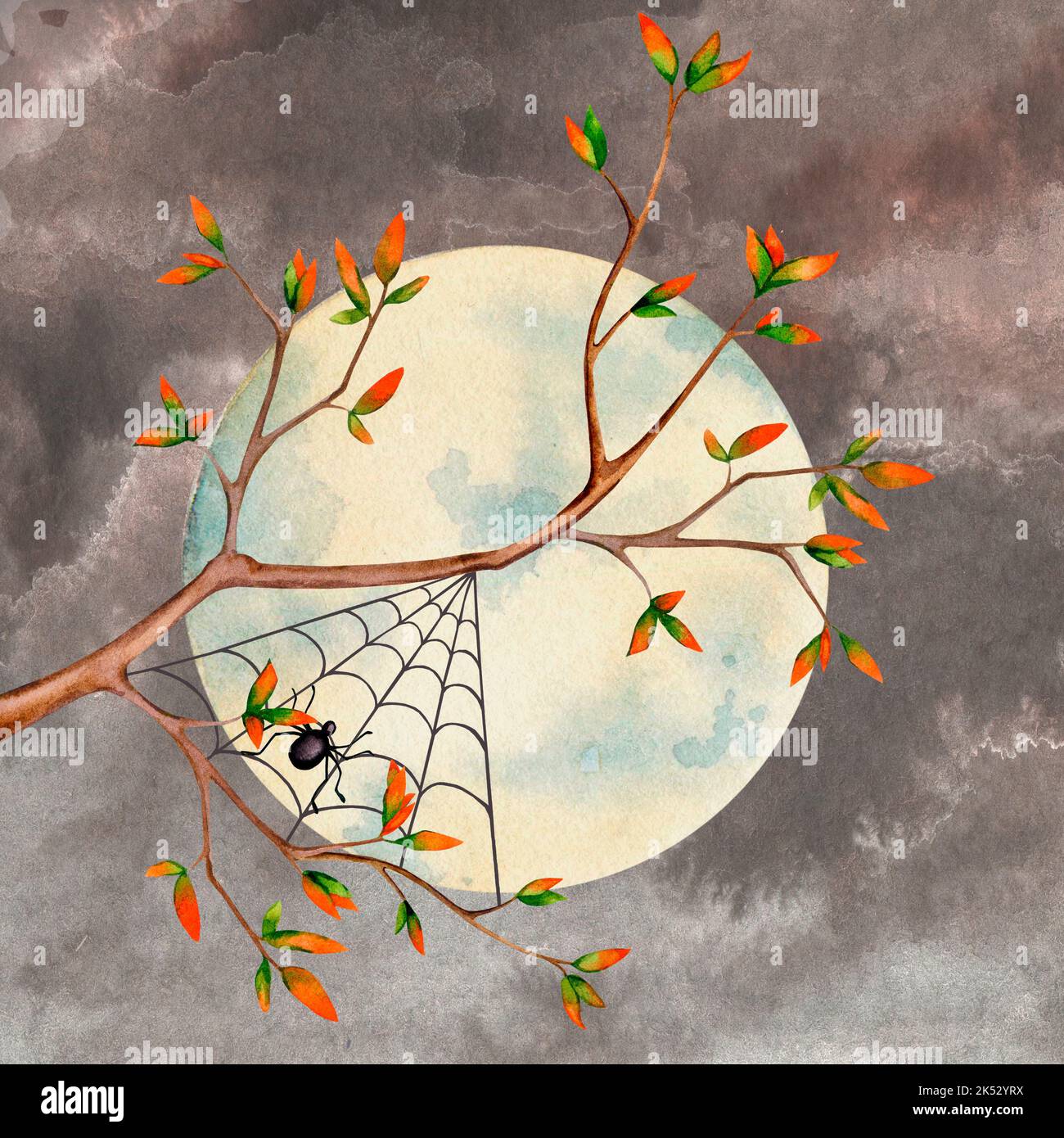 A tree branch with a spider against the background of the moon and the ...