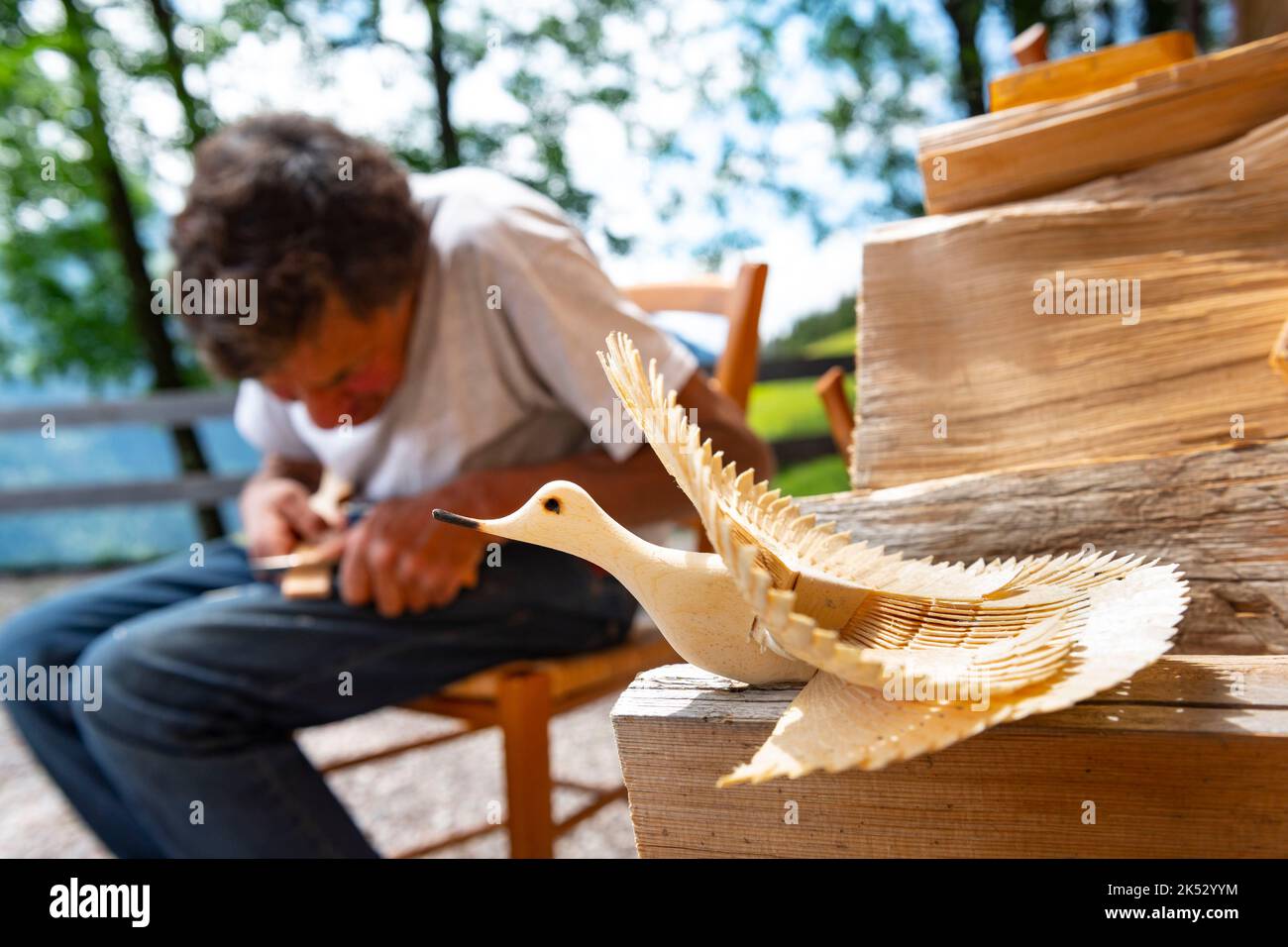 France, Haute Savoie, Chablais massif, Chatel, Mr Jean Pierre David ...