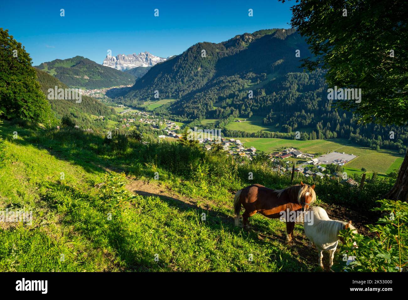 France, Haute Savoie, Chablais massif, Chatel, Chapelle d'Abondance ...