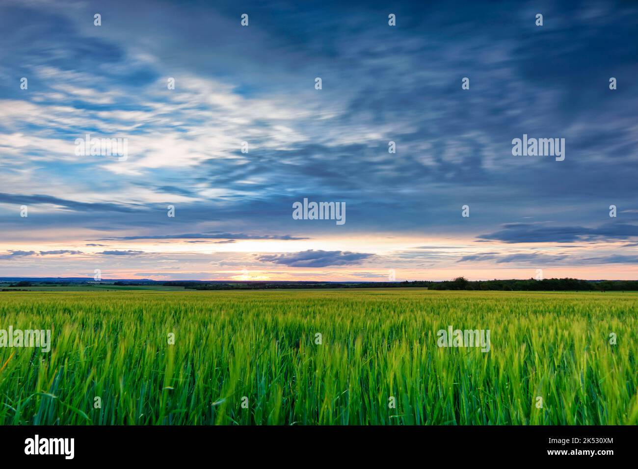 Le villey hi-res stock photography and images - Alamy