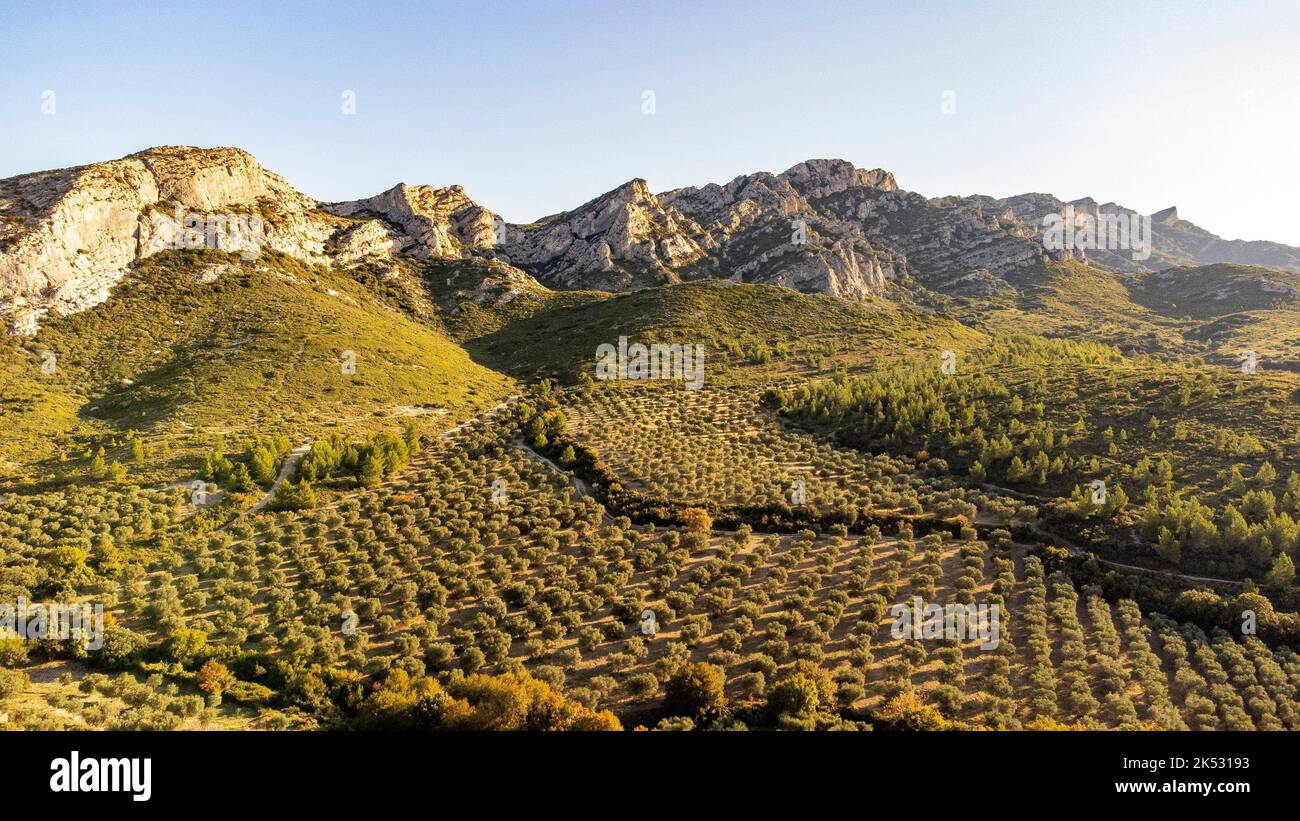 France, Bouches du Rhone, Alpilles Regional Nature Park, Aureille ...