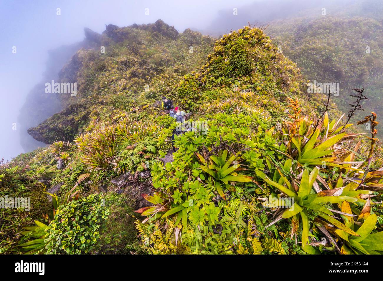 France, Caribbean, Lesser Antilles, Martinique, Morne-Rouge, ascent of ...