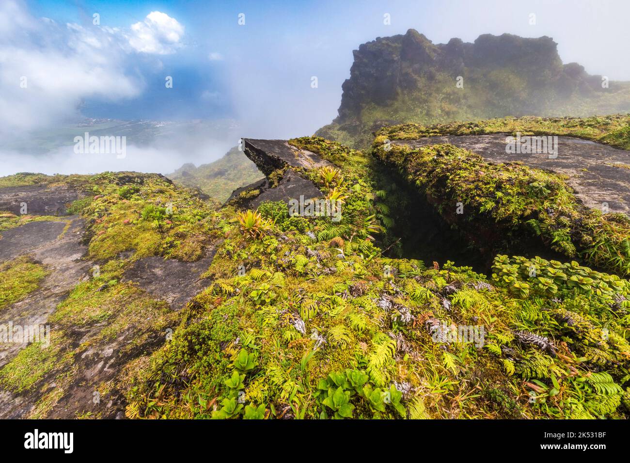 France, Caribbean, Lesser Antilles, Martinique, Morne-Rouge, ascent of ...