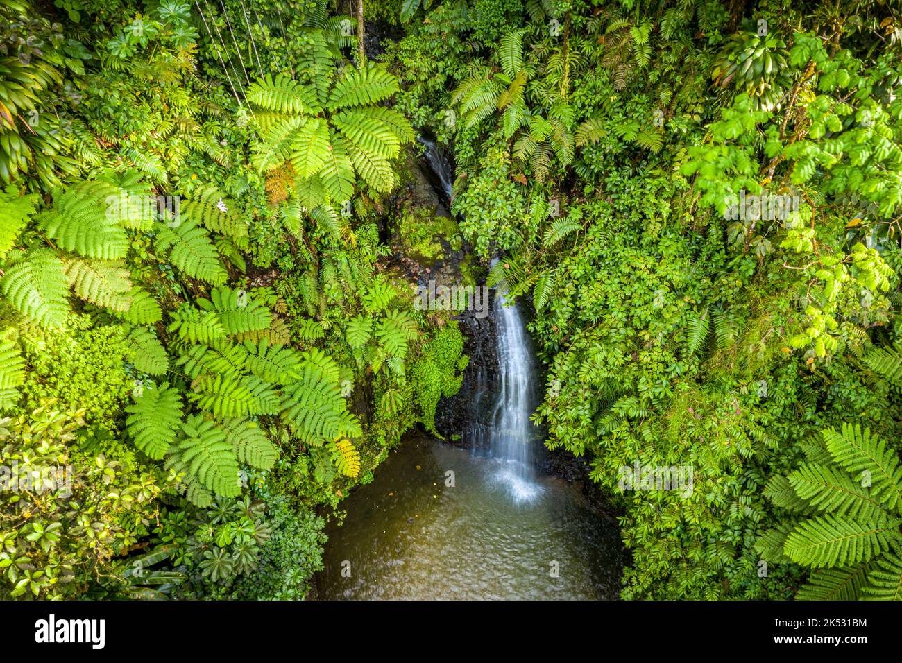 France, Caribbean, Lesser Antilles, Martinique, Fonds-Saint-Denis ...