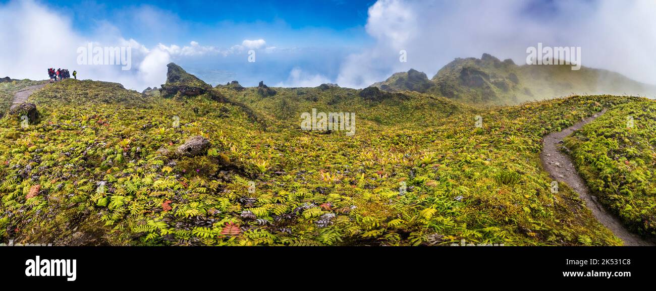 Mount pelee volcano hi-res stock photography and images - Alamy