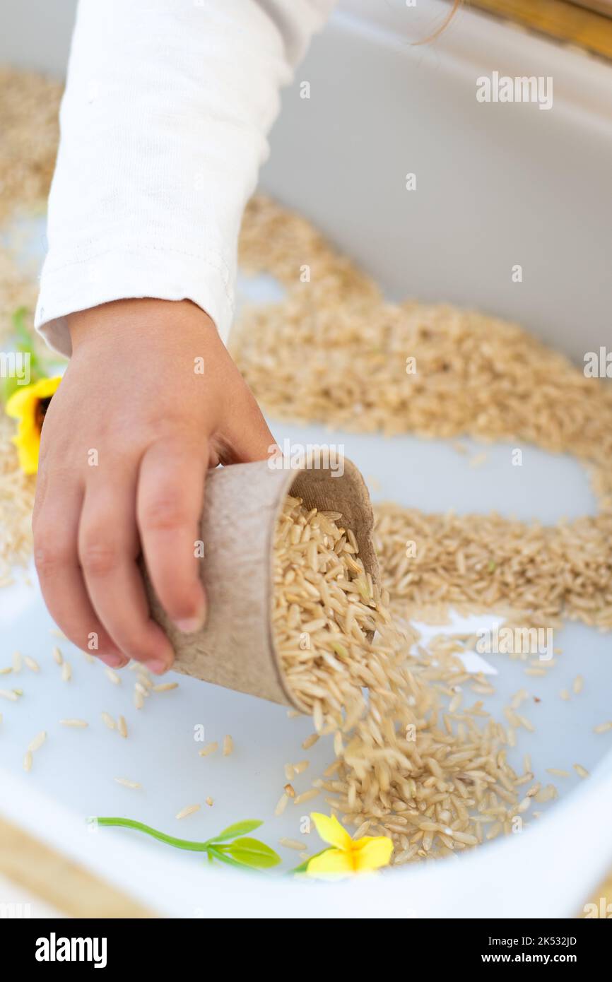 Sensory play with cups and rice Stock Photo - Alamy