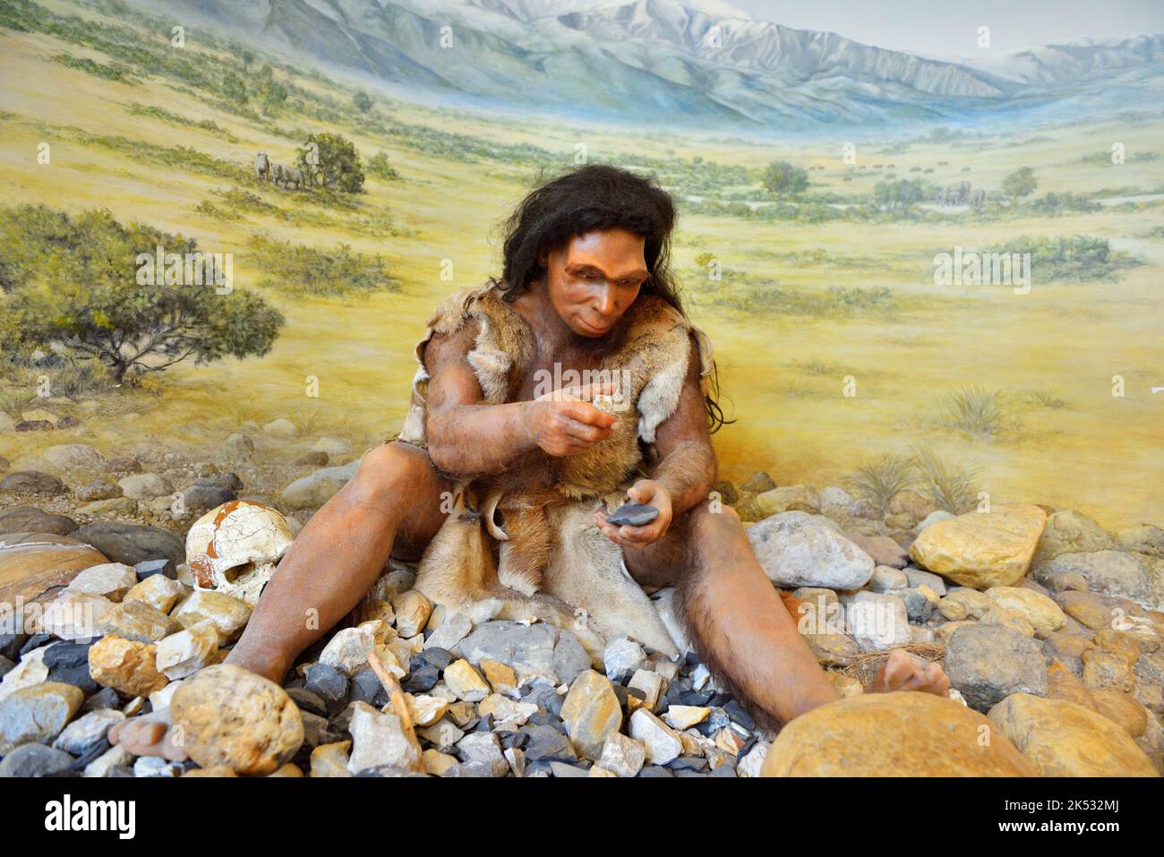 Prehistoric men hi-res stock photography and images - Alamy