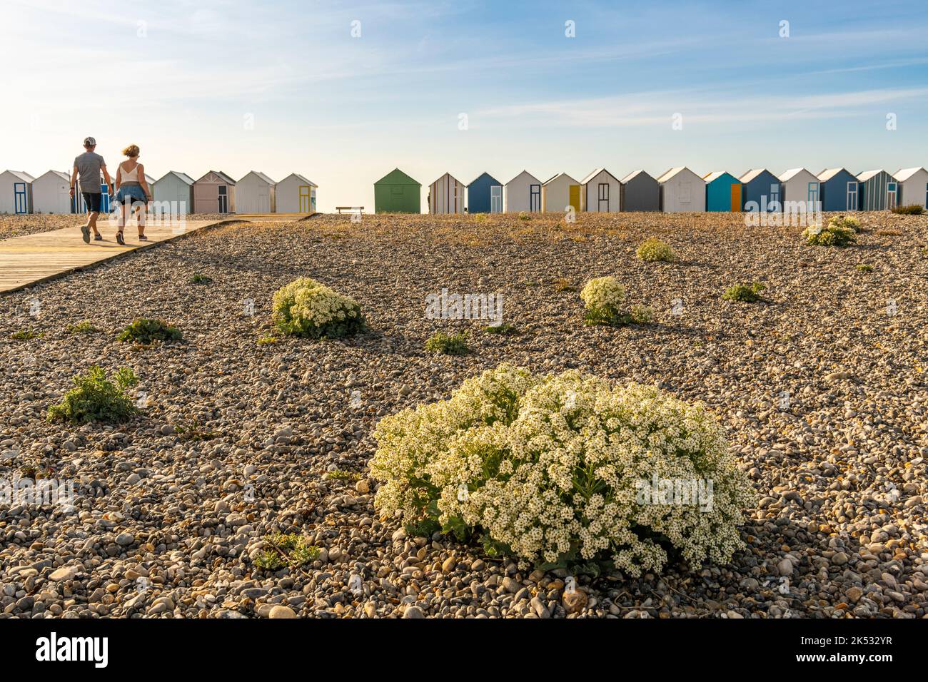 France, Somme, Baie de Somme, Cayeux-sur-mer, Le chemin des planches à ...