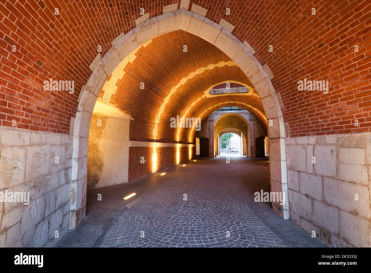 France, Meurthe et Moselle, Nancy, Porte de la Craffe vestige of the ...