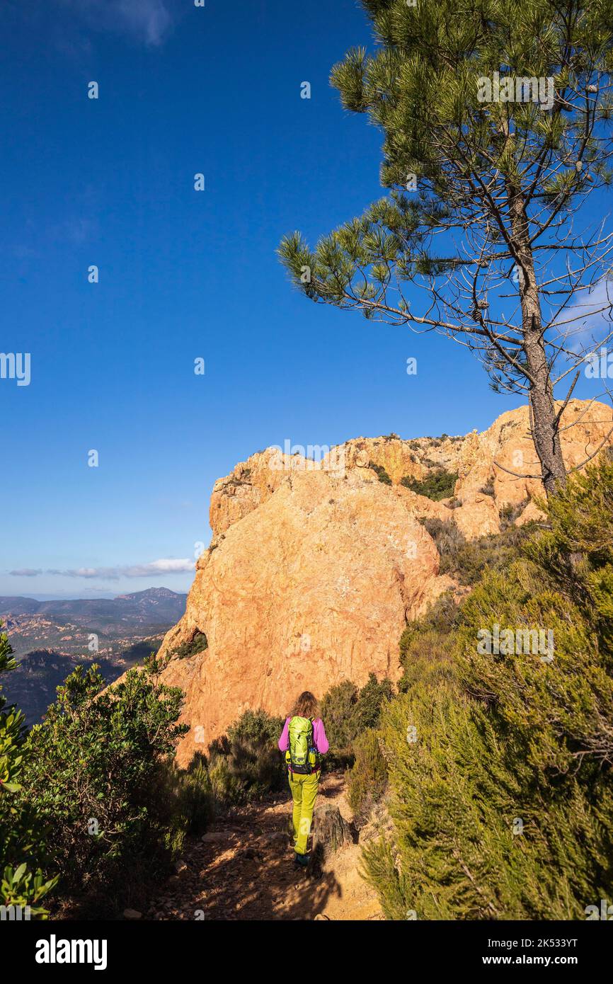 France, Var, Agay town of Saint-Raphaël, Estérel massif, hiker at the ...