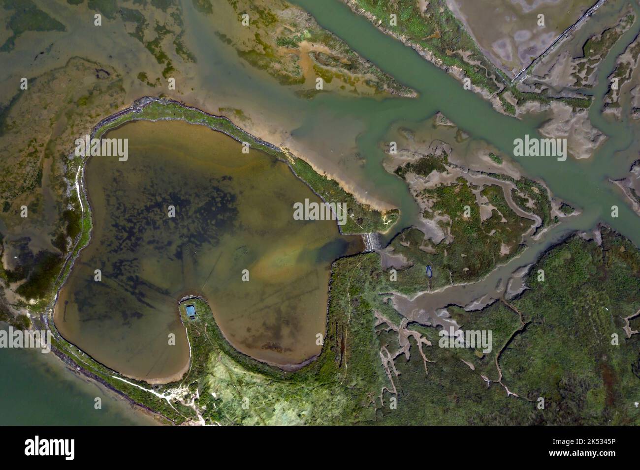 France, Gironde, Bassin d'Arcachon, Gujan-Mestras, ton of hunting from ...