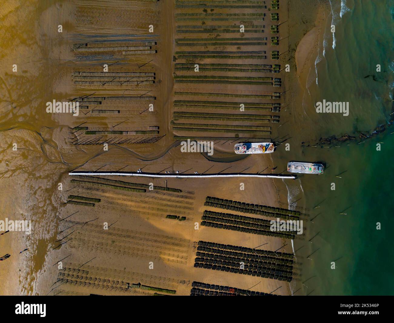 France, Gironde, Bassin d'Arcachon, lege-cap-ferret, oister park ...