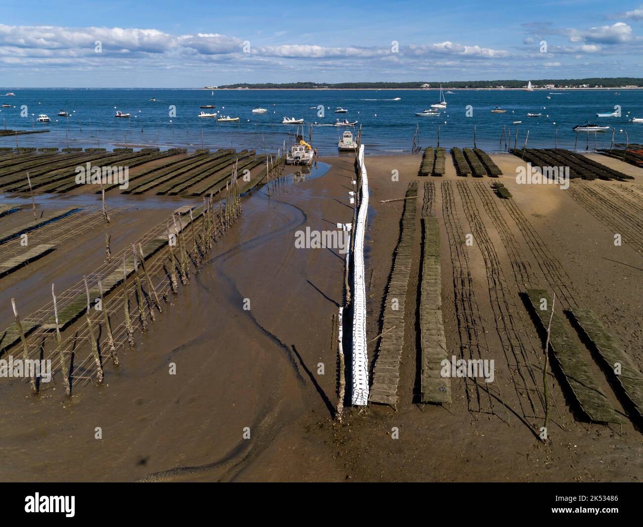 France, Gironde, Bassin d'Arcachon, lege-cap-ferret, oister park ...