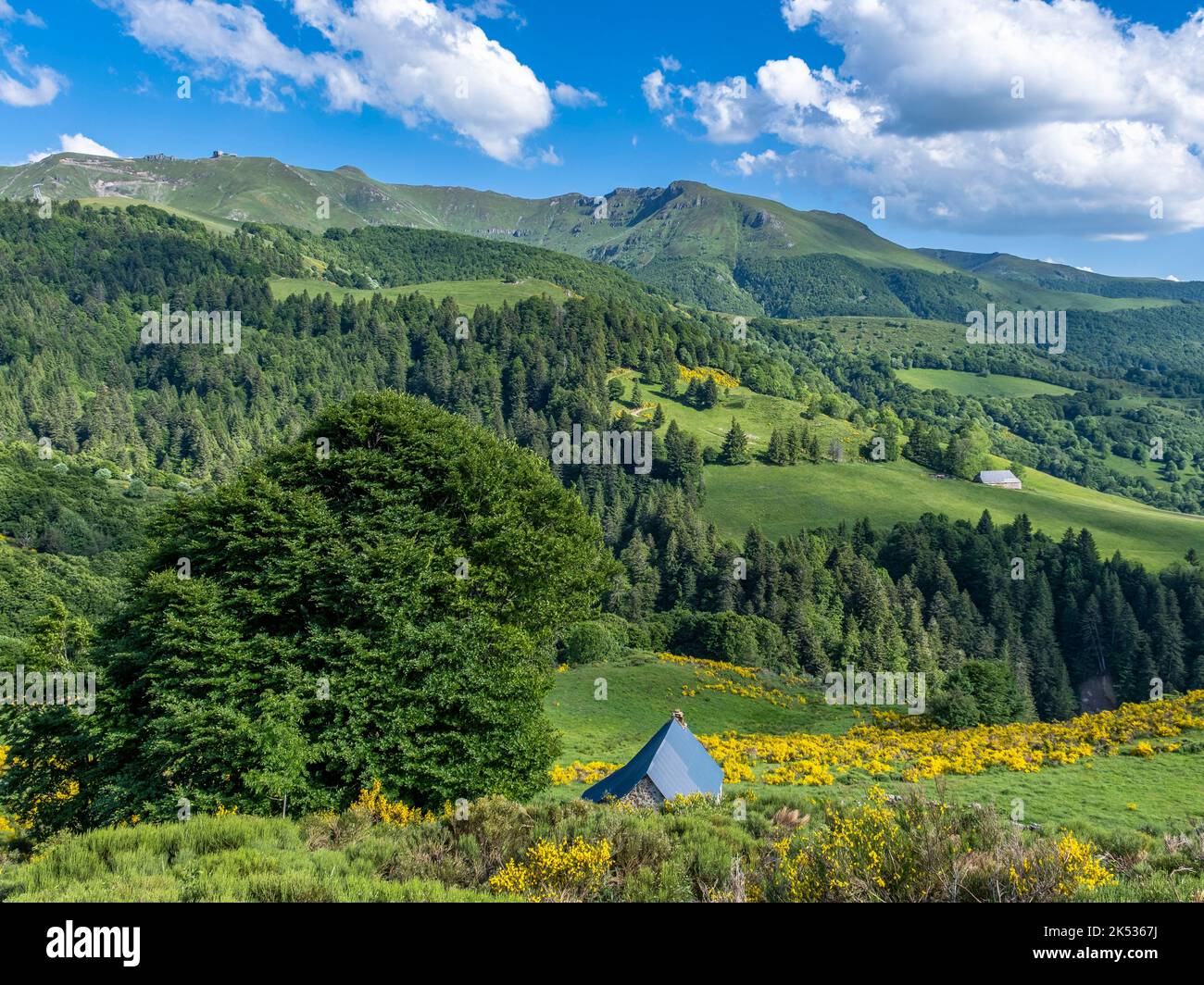France, Cantal, Monts du Cantal, Cere valley seen from Font de Cere ...