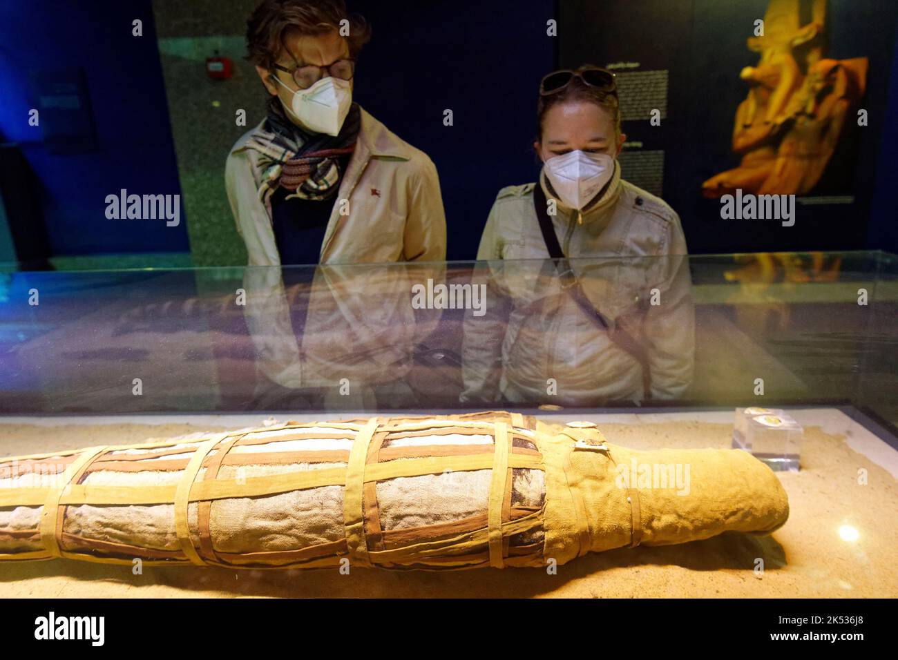 Egypt, Upper Egypt, Nile Valley, Kom Ombo, Crocodile museum, this ...