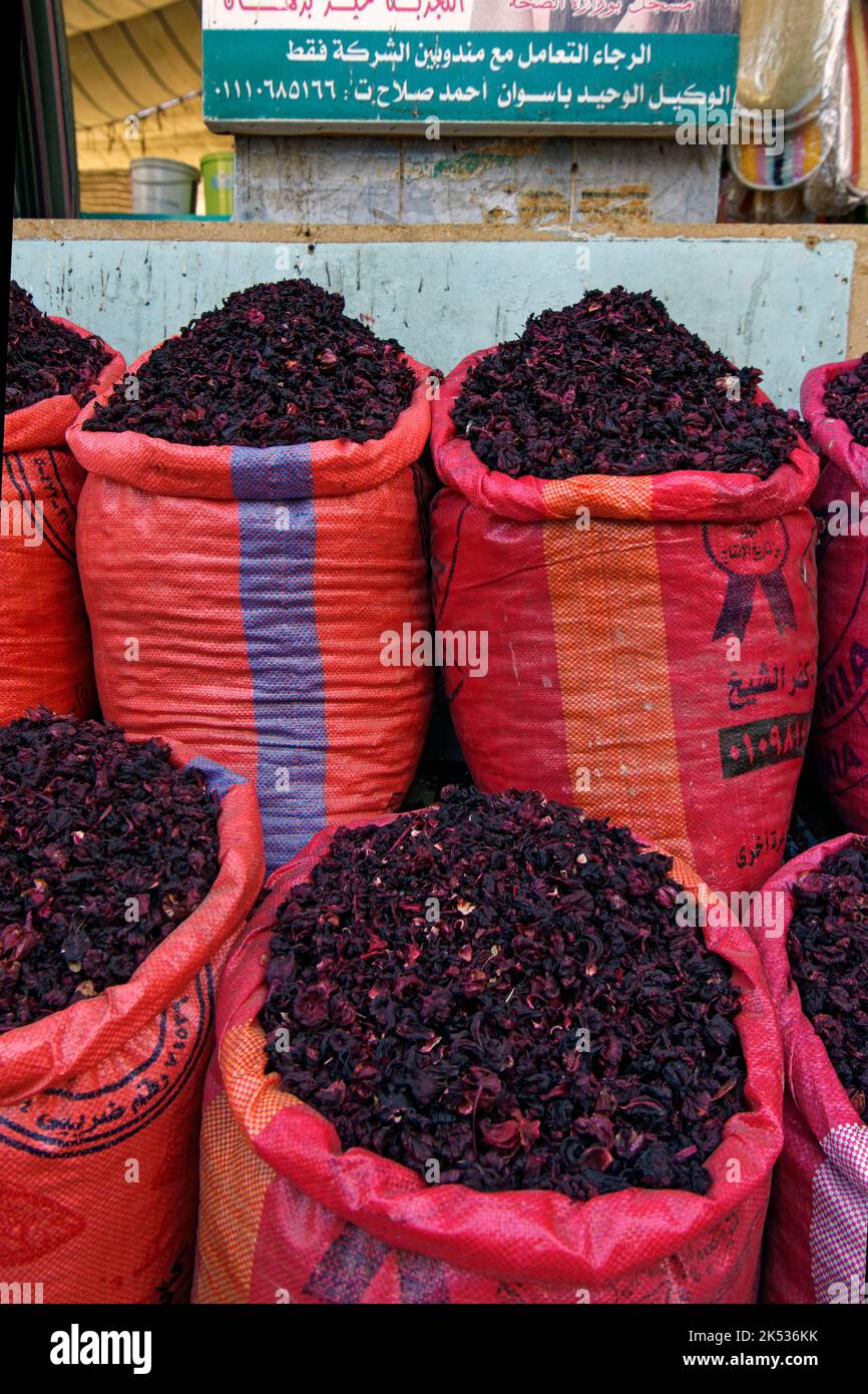 Hibiscus egypt hi-res stock photography and images - Alamy