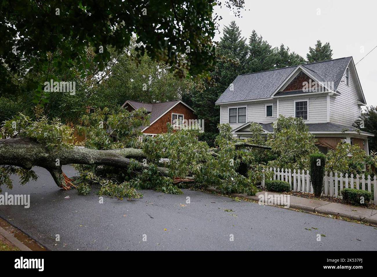 A fallen tree blocks Holt Street as Hurricane Ian and its remnants ...
