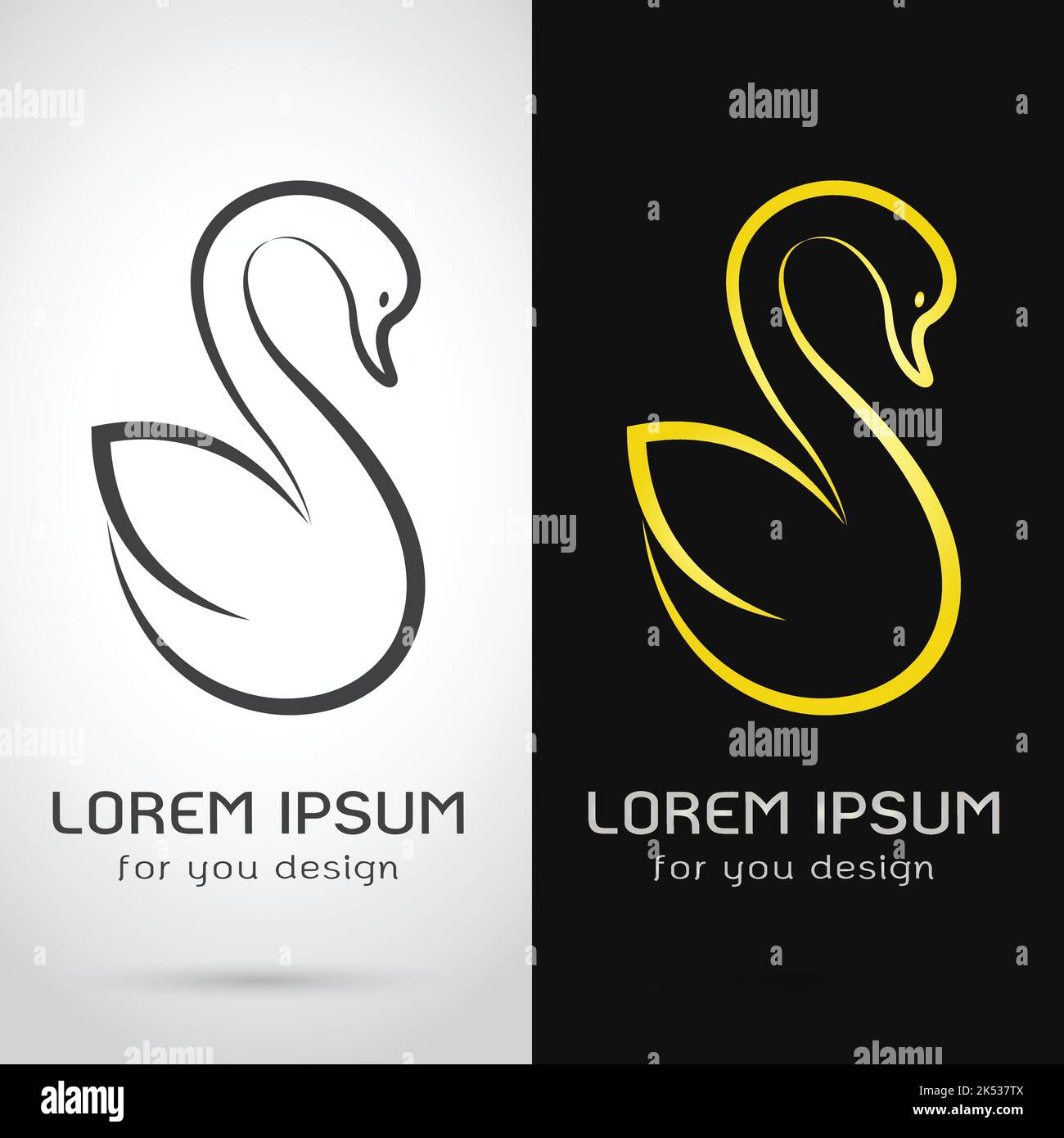 Vector image of swan design on white background and black background ...