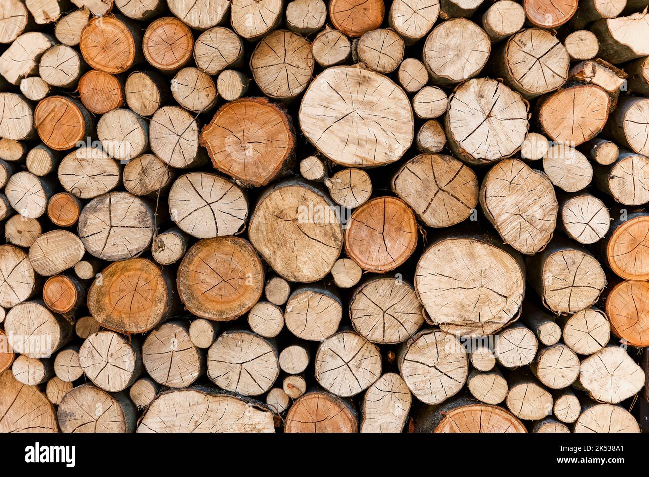 Cross section of tree trunks, timber background. Log trunks pile, the ...