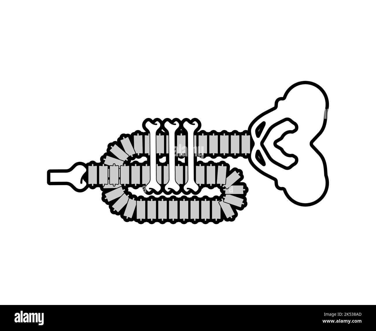 Trumpet from bones. Skeleton bugle. death Musical instrument Stock ...