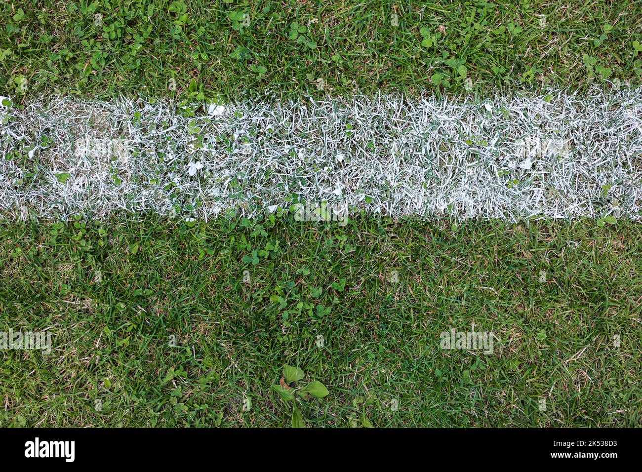 Top view of the white Line marking on the natural green grass soccer ...