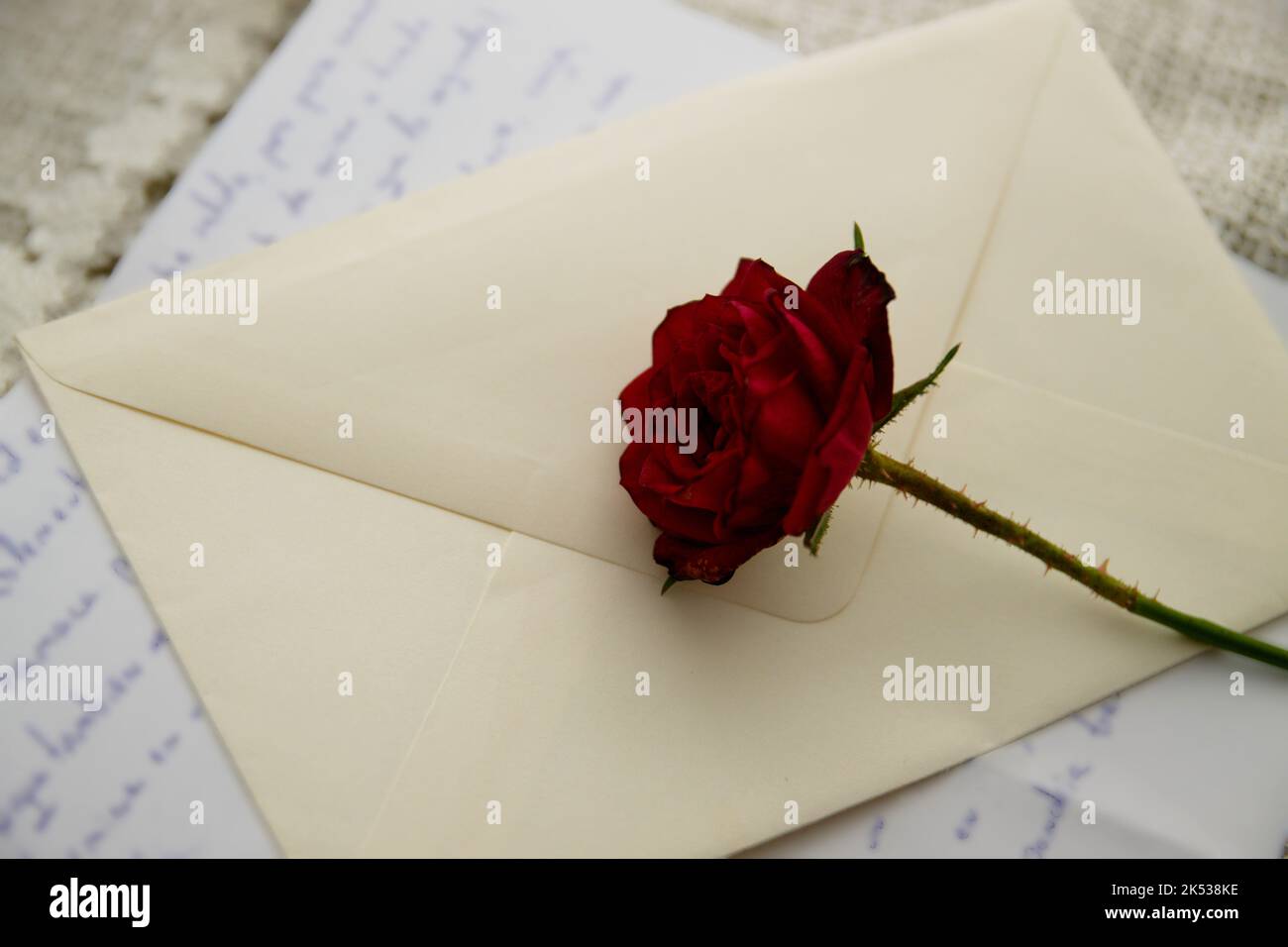 Image of a dry rose on a letter written by hand from a loved one in the ...
