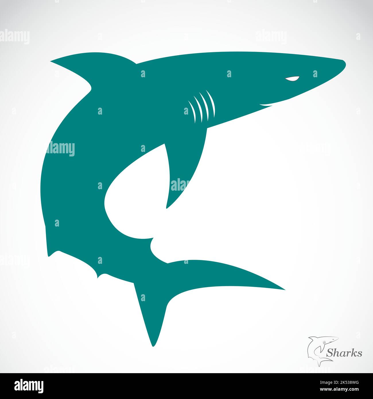 Vector image of an shark on white background Stock Vector Image & Art ...