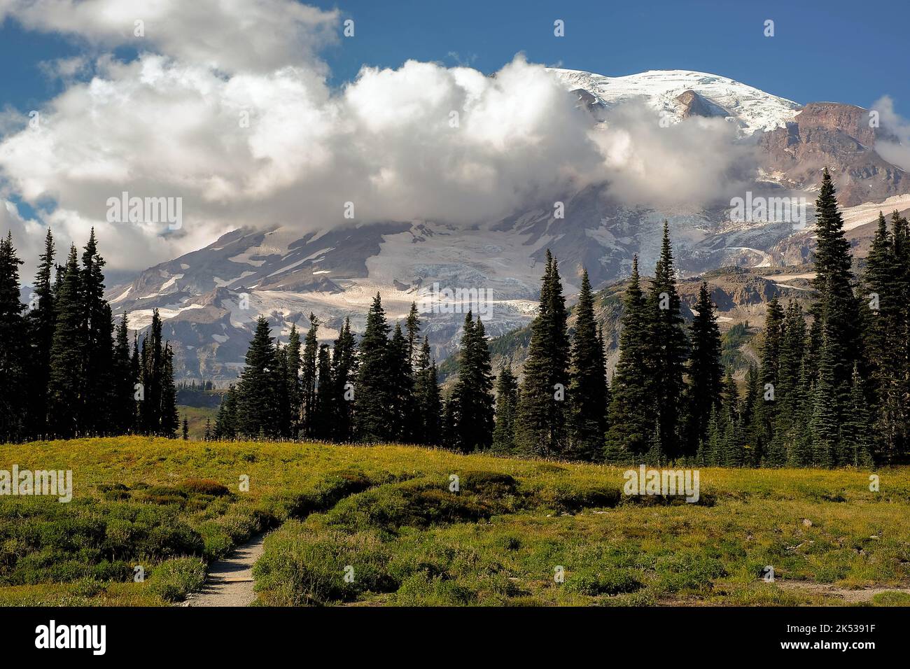 20221004 hi-res stock photography and images - Alamy