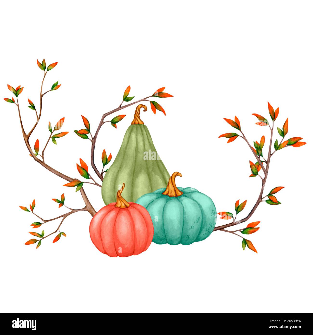 Autumn design with pumpkins and eyelids with leaves. Watercolor ...