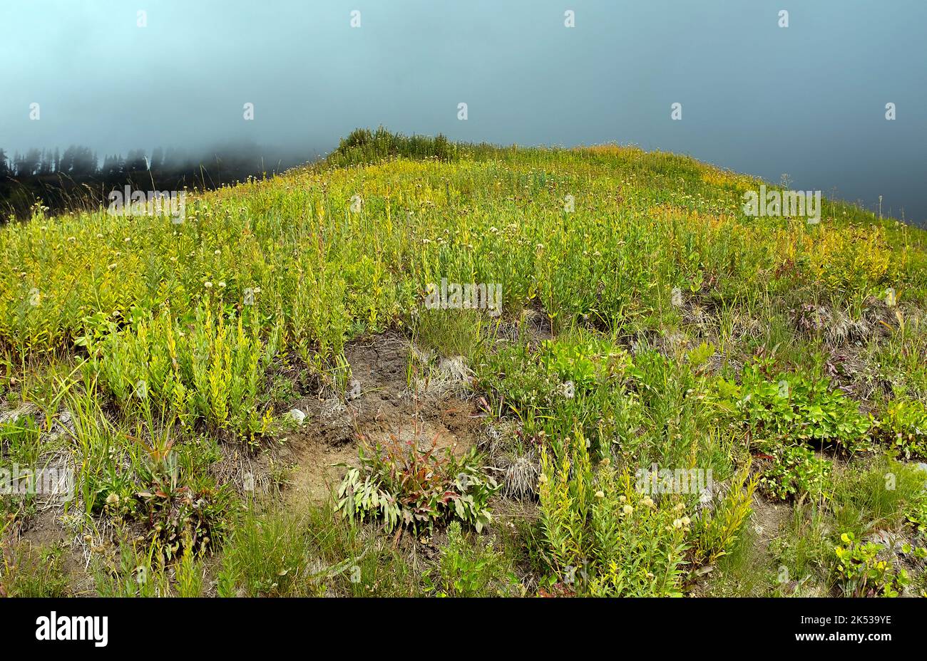 September 22, 2022: Brilliant autumn colors highlight the alpine trails ...