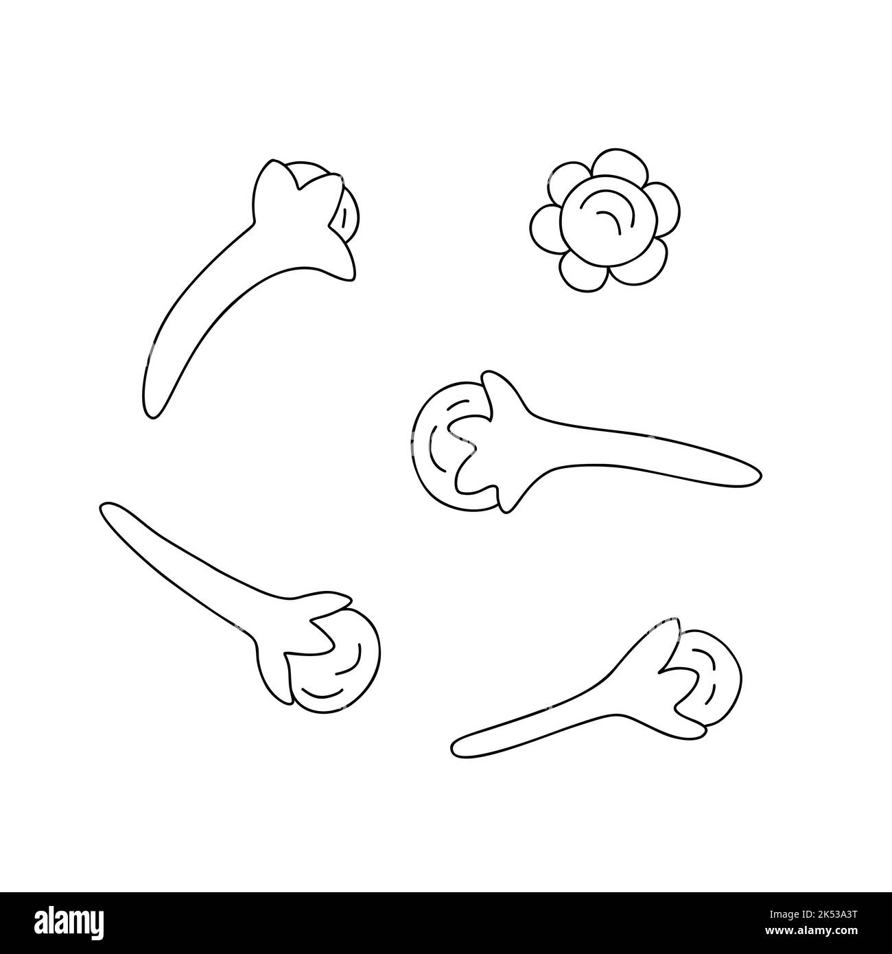 Dried cloves Black and White Stock Photos & Images - Alamy