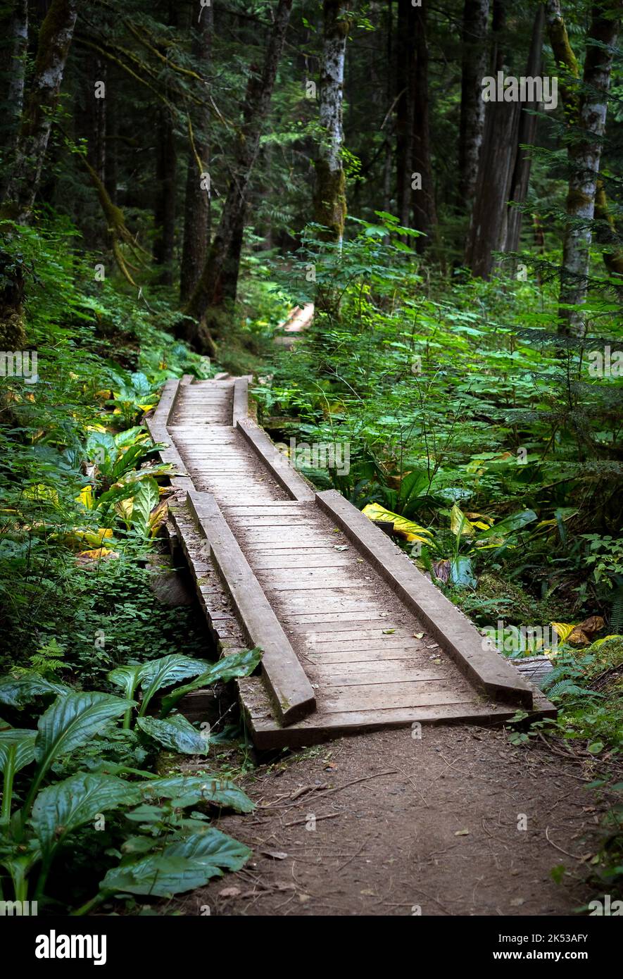 September 23, 2022: Boardwalks protect fragile trail systems along ...