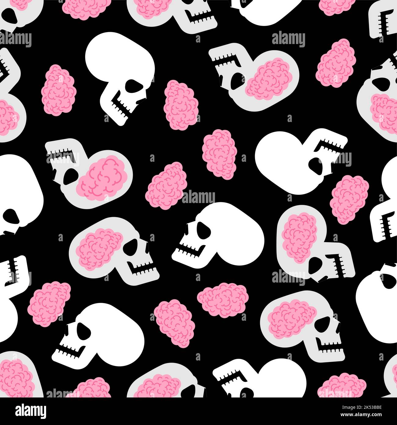 Anatomical drawing cranium Stock Vector Images - Alamy