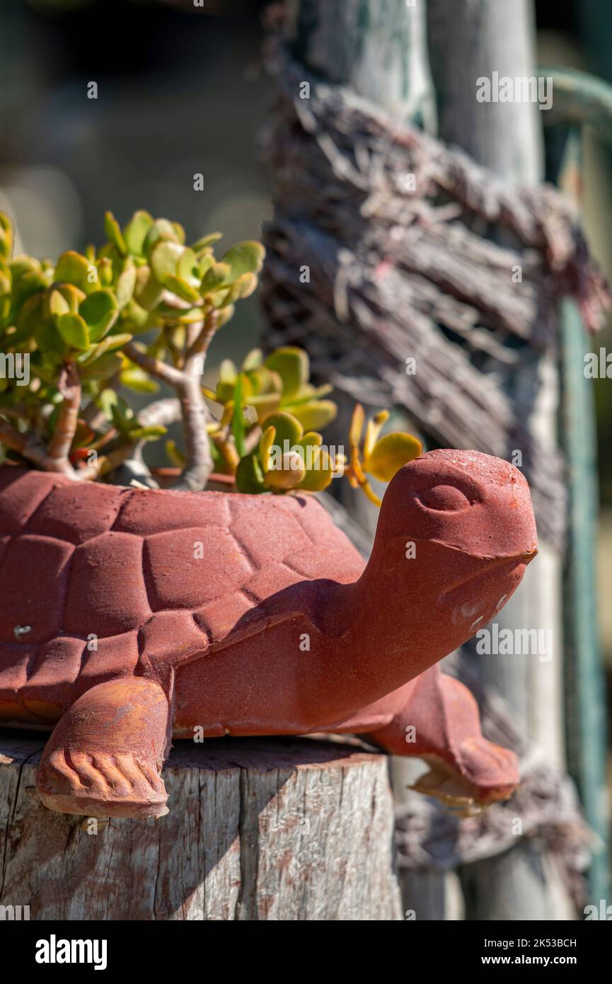 Sea turtle sculpture hi-res stock photography and images - Alamy