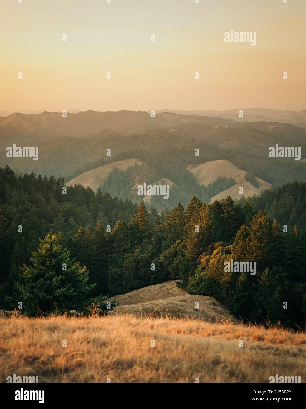 Mount tamalpais viewpoint hi-res stock photography and images - Alamy