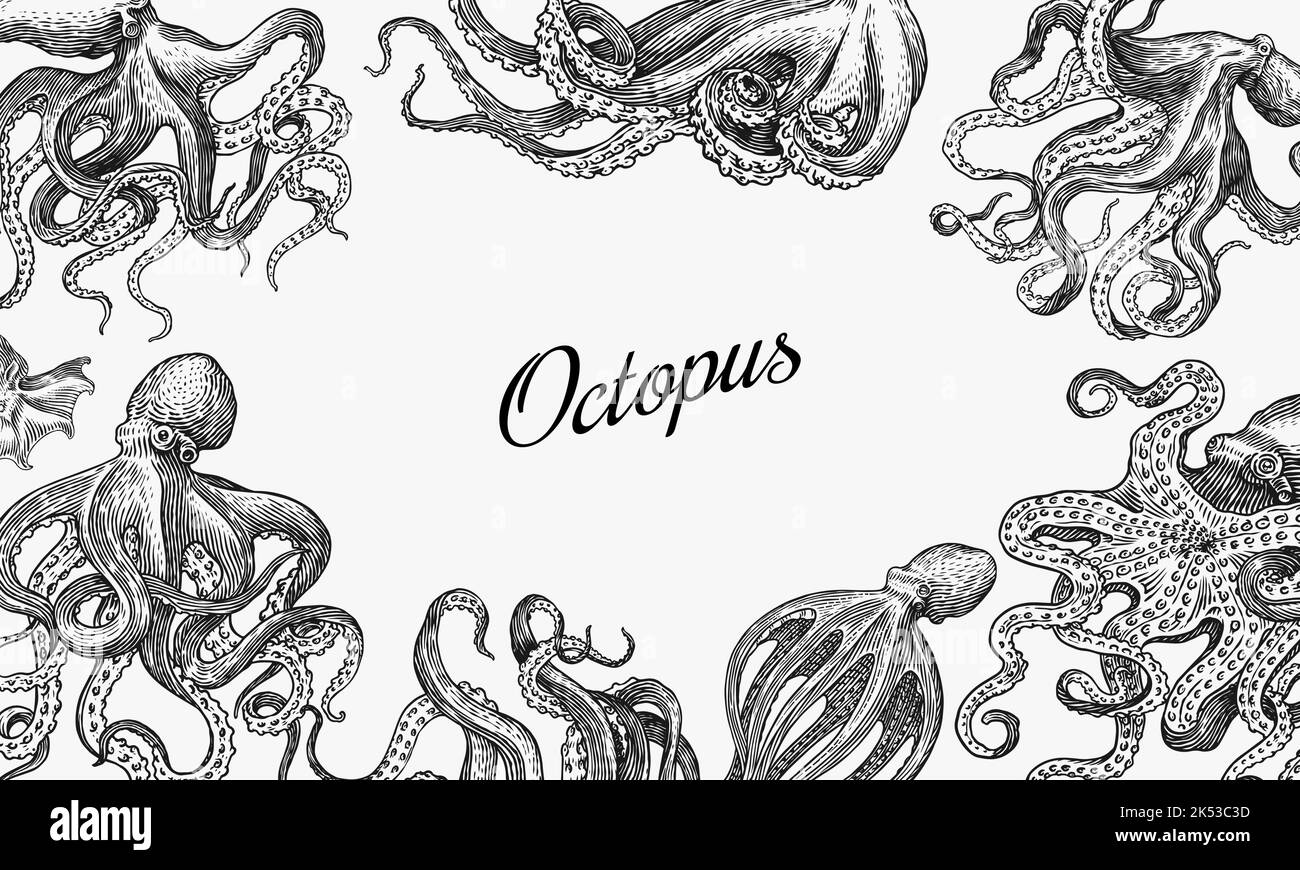 Octopus poster hi-res stock photography and images - Alamy