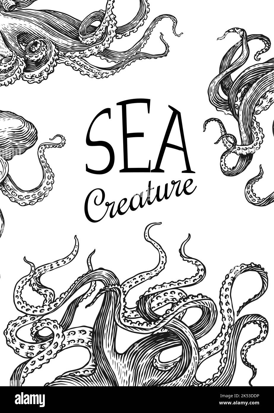 Sea octopus Background. Engraved hand drawn in old sketch, vintage ...