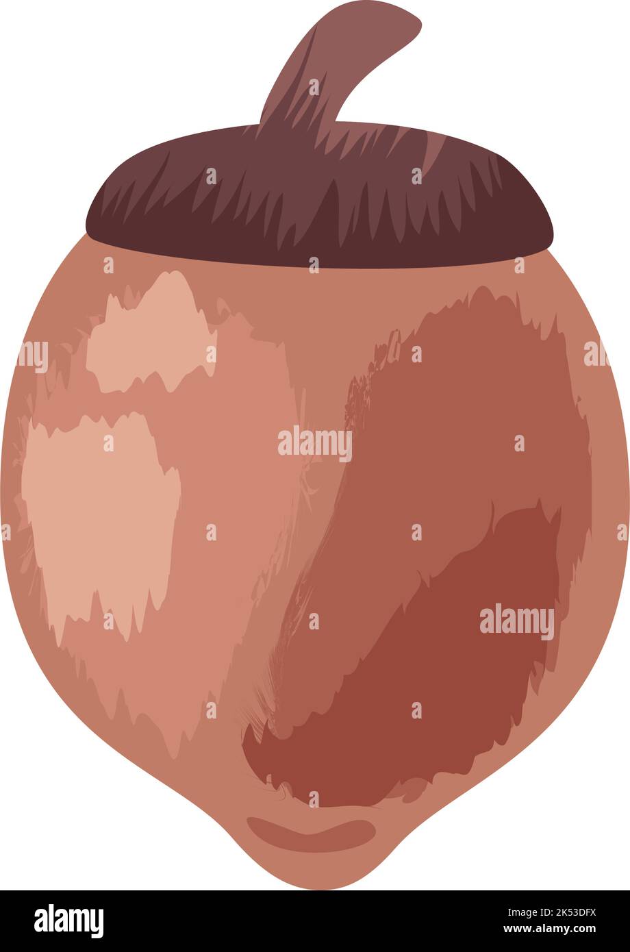 acorn seed autumn season icon Stock Vector Image & Art - Alamy