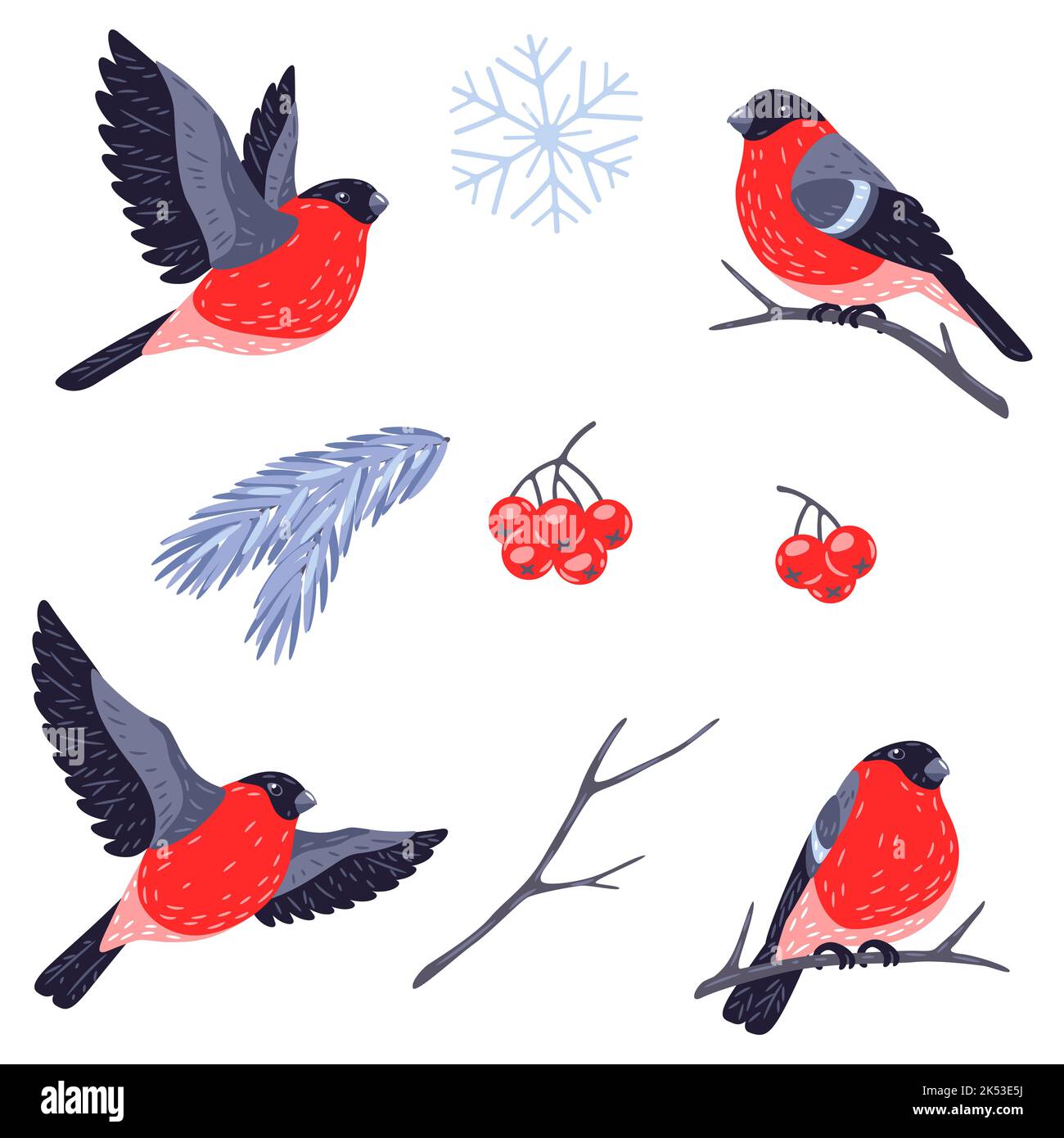 Group of bullfinches Stock Vector Images - Alamy