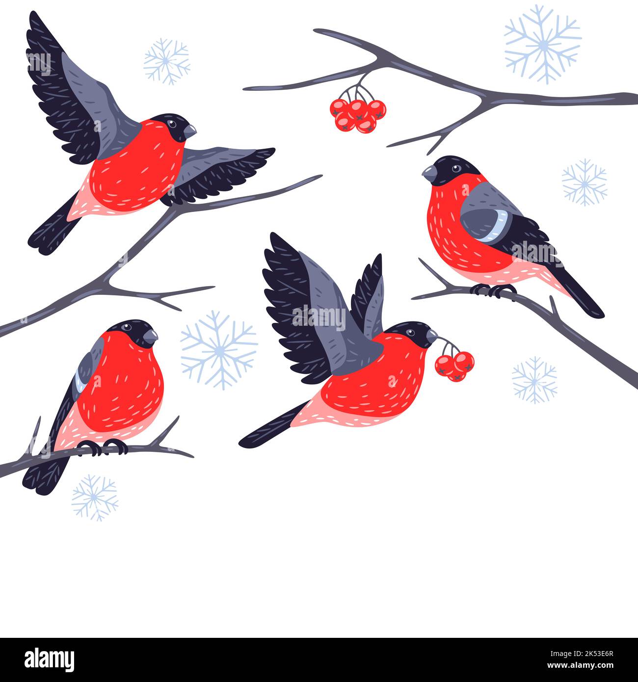 Winter background with birds bullfinches and plants. Merry Christmas ...