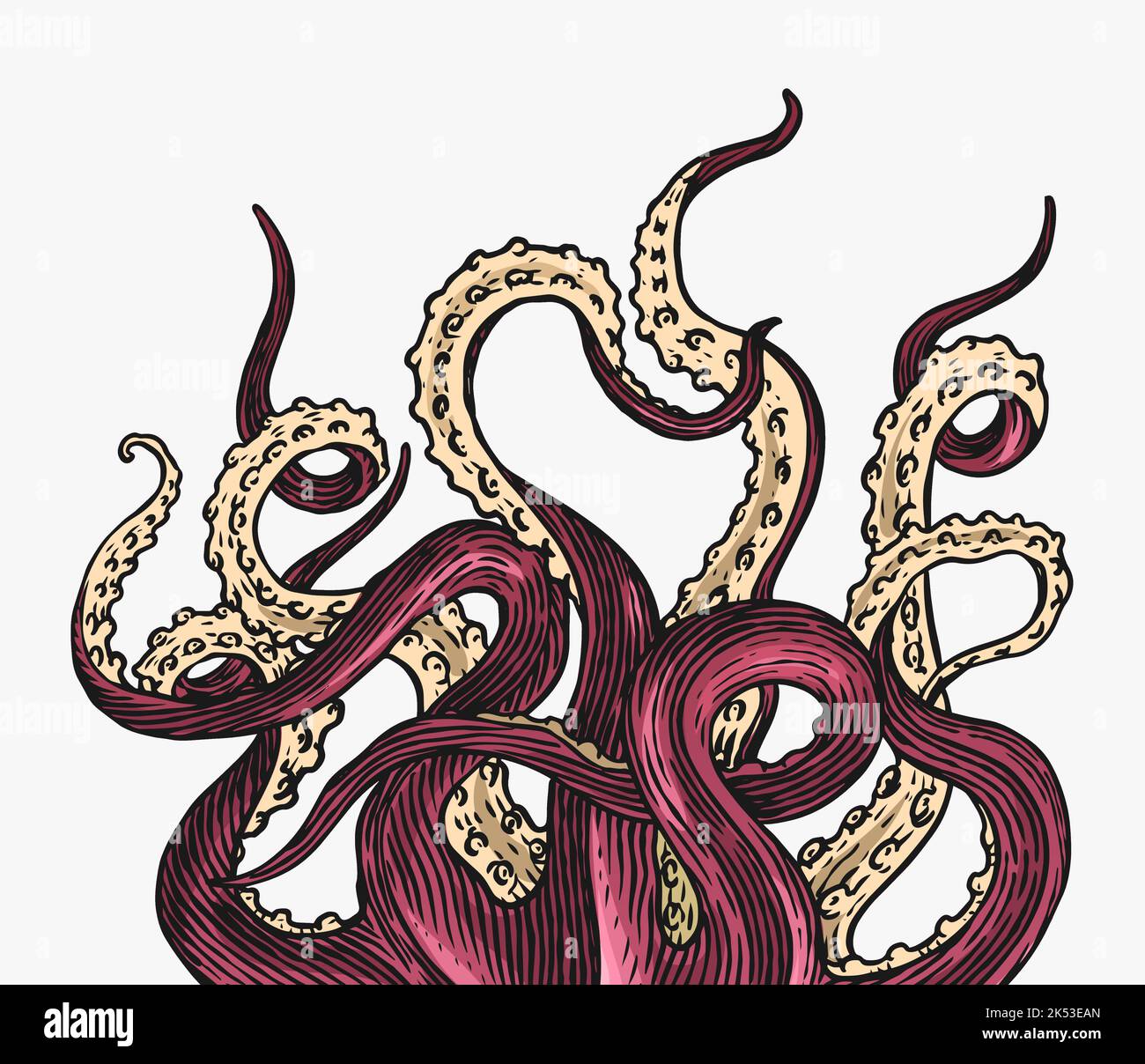 Octopus tentacles. Engraved hand drawn in old sketch, vintage creature ...