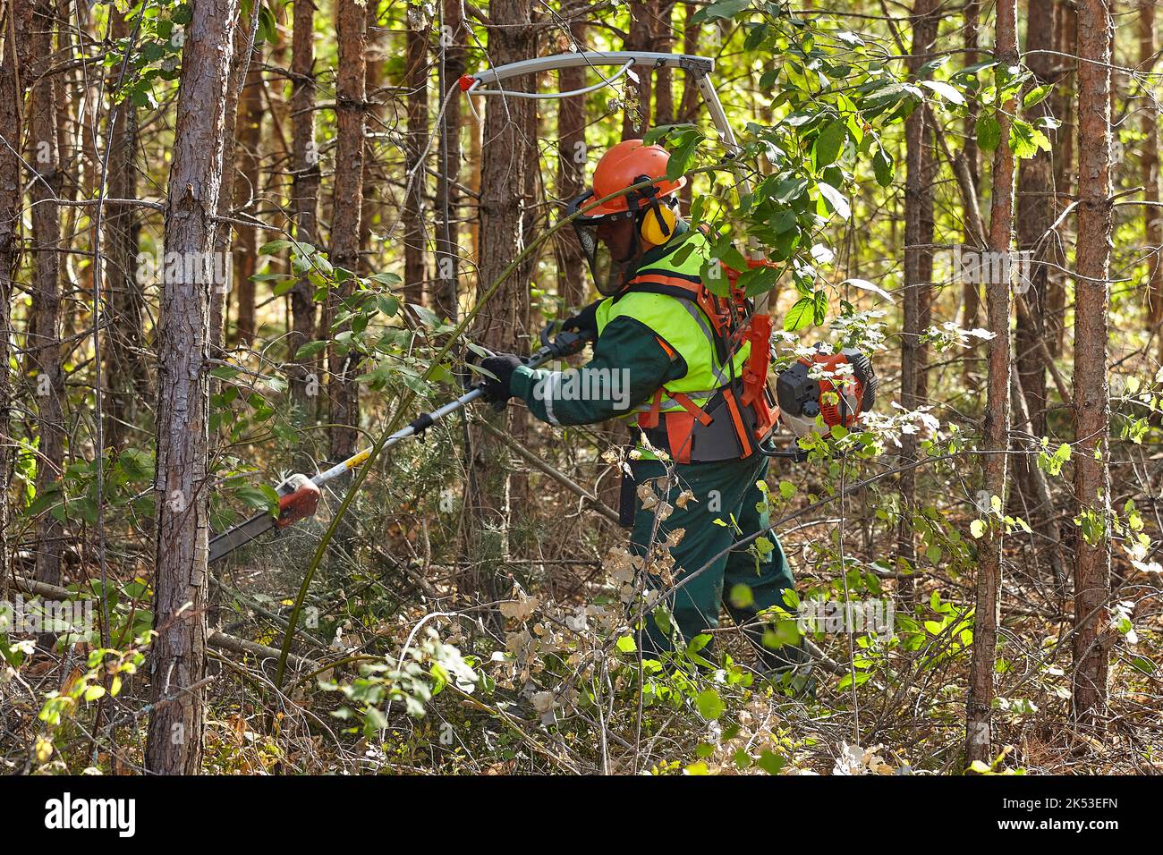 Sawing branch in suit hi-res stock photography and images - Alamy