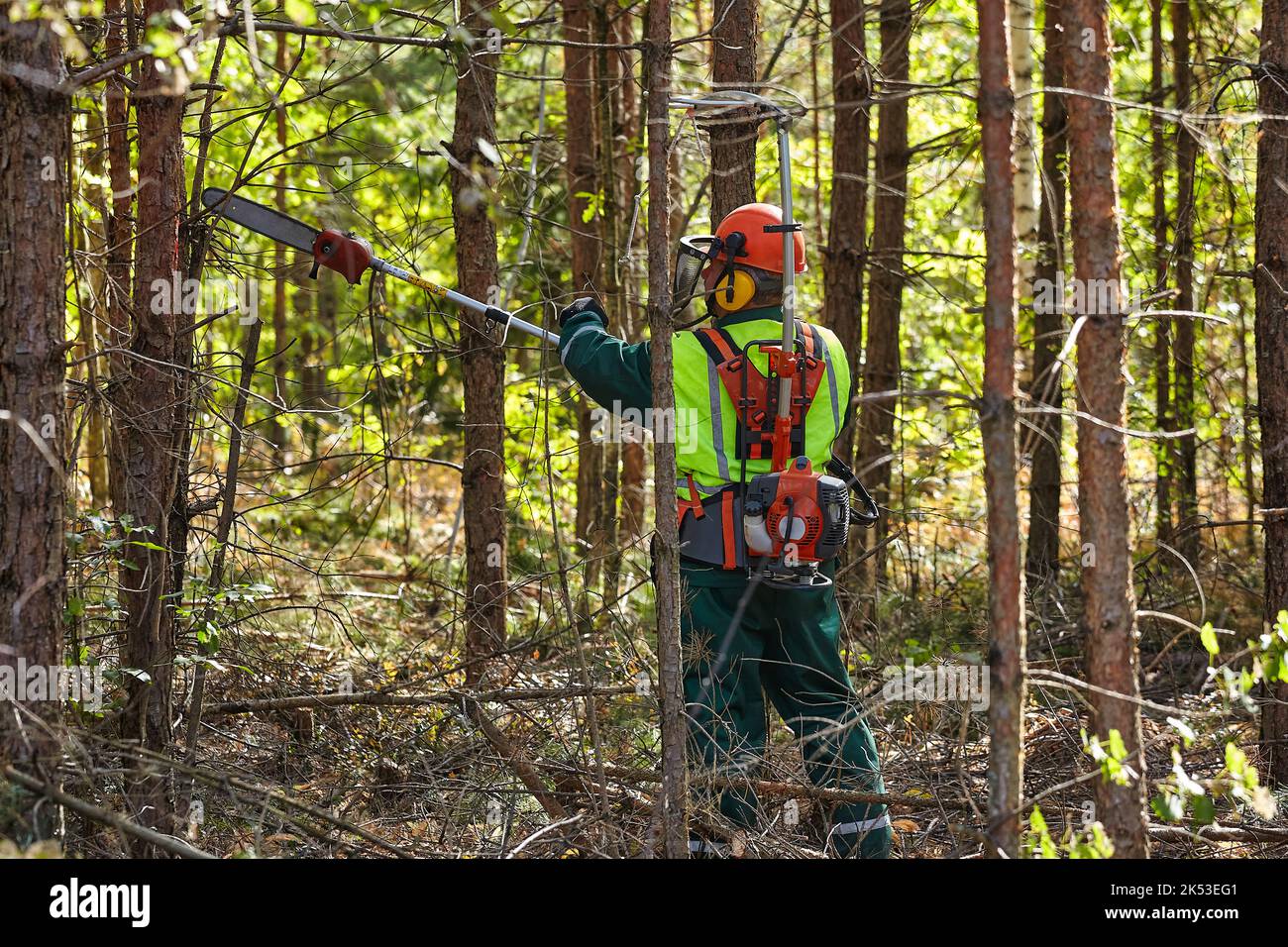worker in a protective suit clears the forest from branches with a pole ...