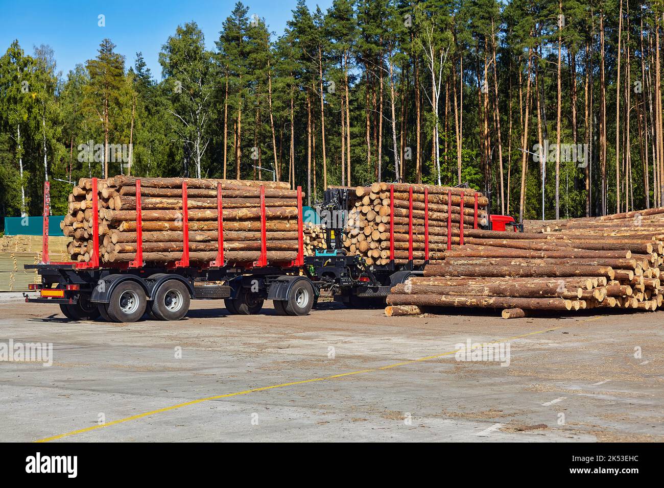 the sawn logs are loaded and secured for further transportation by ...