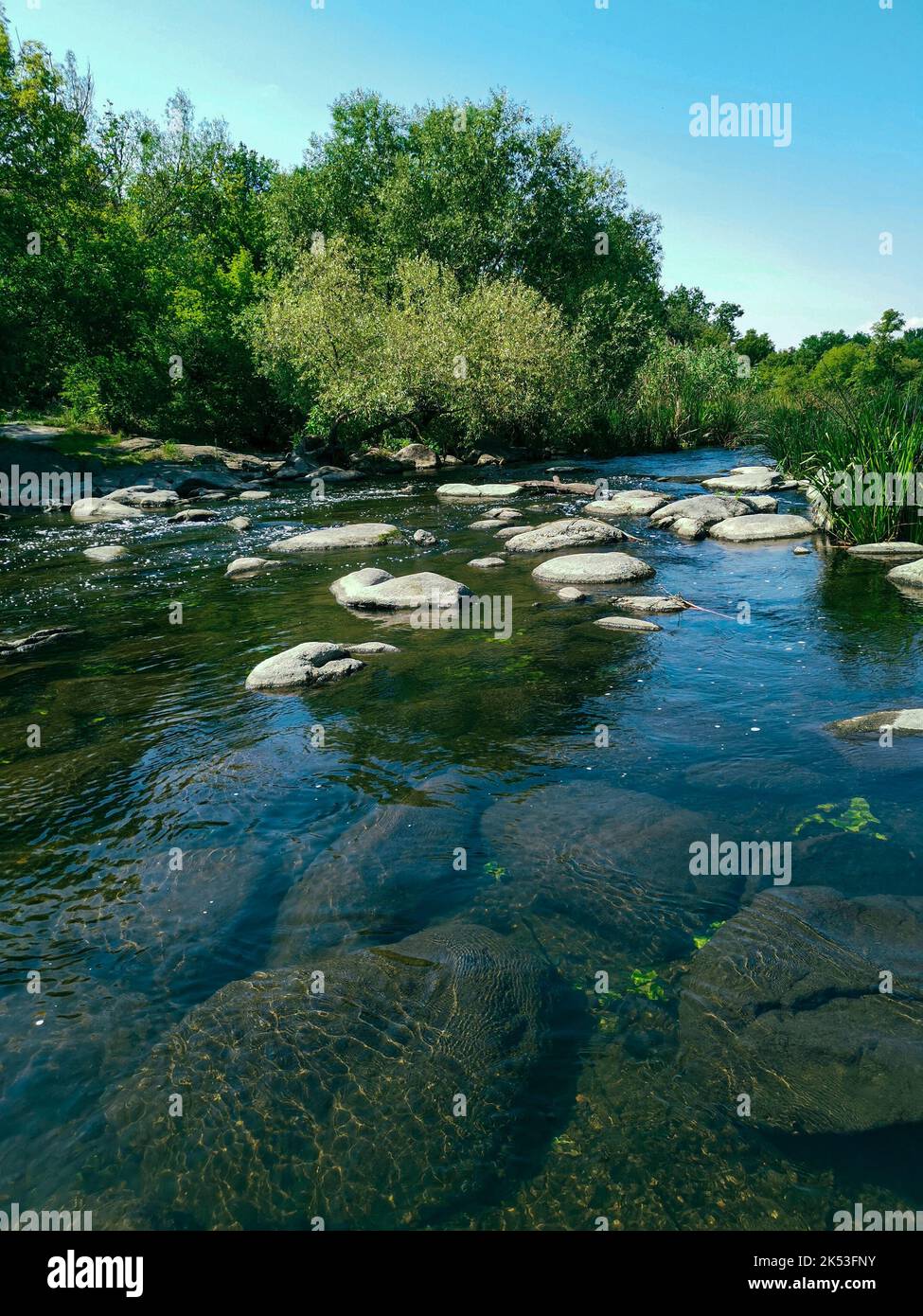 A vertical shot of shallow stream with rocks under the surface flowing ...